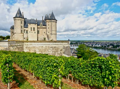 All Along the Loire | Online Wine Tastings UK